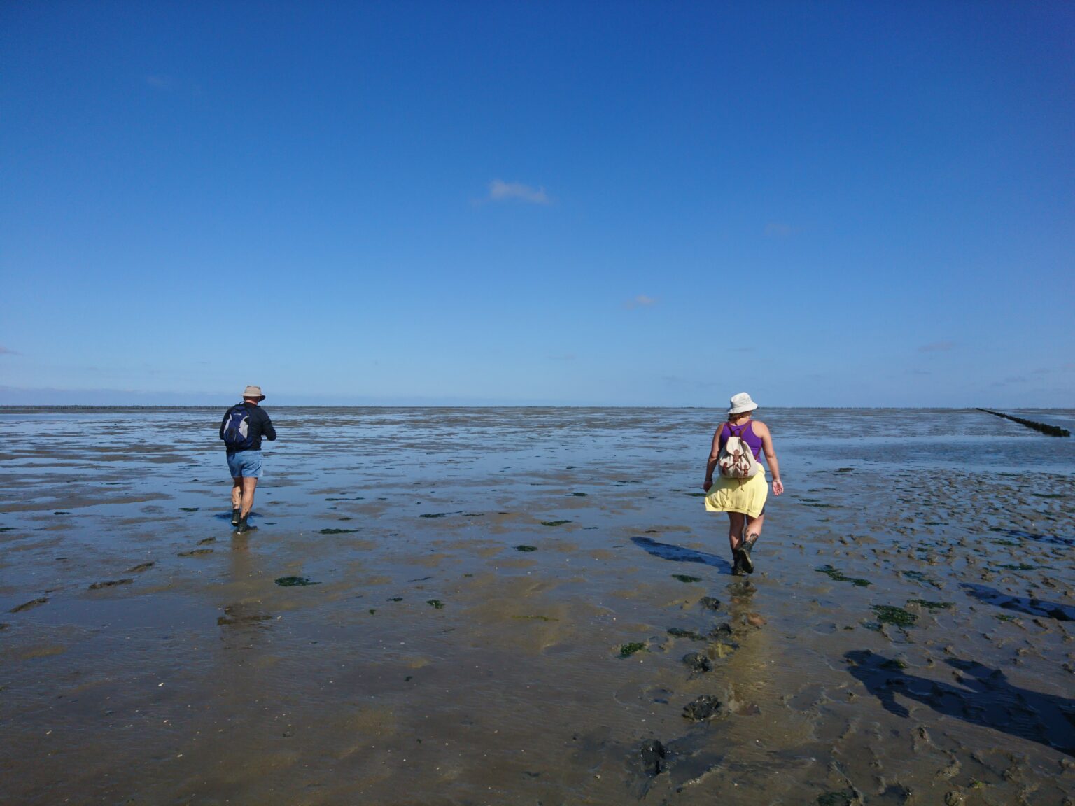 Wadlopen 2 daagse tip - Wadlopen Pieterburen