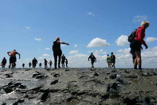 Wadlopen Pieterburen - Wadlopen Pieterburen
