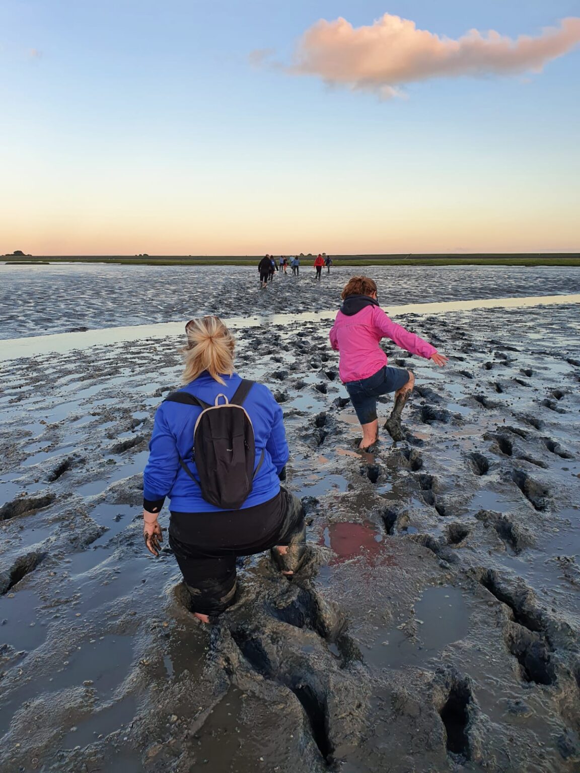 Wadlopen - Wadlopen Pieterburen